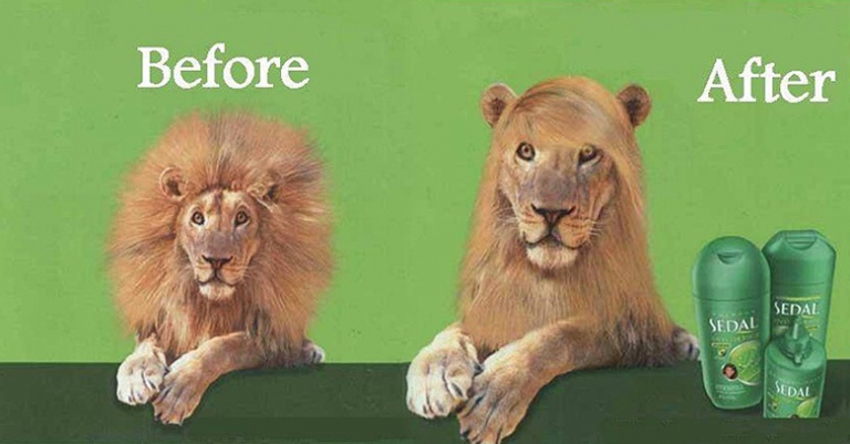 The Humor Appeal (Advertising) - The Visual Communication Guy